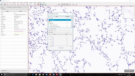 scn files not opening correctly · issue 141 · qupath qupath · github