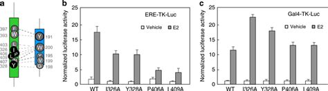Transcriptional Regulation Of Mutations At Interfacial Lbd Residues A Download Scientific