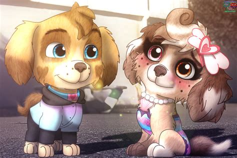 A Cockapoo And A Part Mer Were Cockapoo By Yourboimario On Deviantart