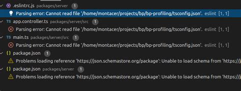 Vs Code Cannot Resolve The Path Of Tsconfigjson Monorepo React Nest