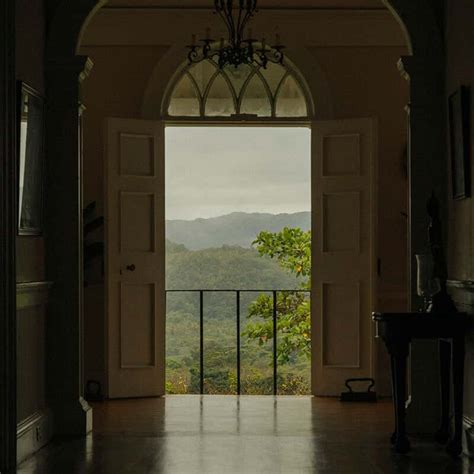 Win A Legal Psychedelic Retreat In Jamaica With Beckley Retreats