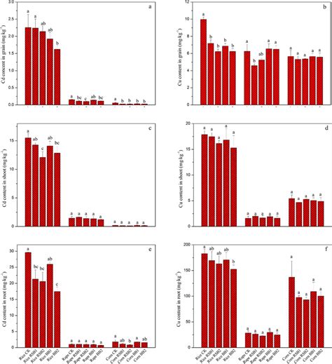 Effect Of Rice Straw Biochar And Bamboo Biochar On The Concentration Of Download Scientific