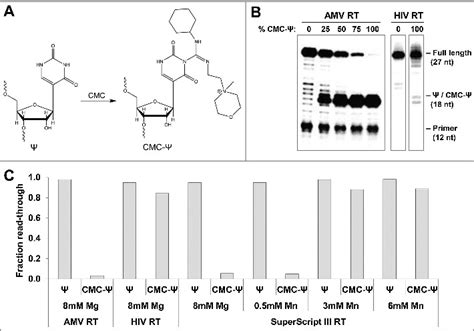 Pseudouridines Have Context Dependent Mutation And Stop Rates In High