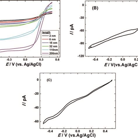 Yongxin Li Professor Full Ph D Professor Anhui Normal University Wuhu Ahnu College