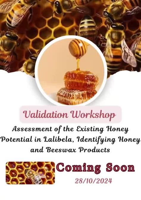 Center For Accelerated Womens Economic Empowerment On Linkedin 🌿🍯 Coming Soon Validation