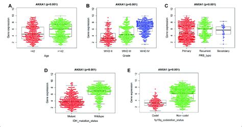 Independent Analysis Of The Anxa1 Gene And Clinicopathological