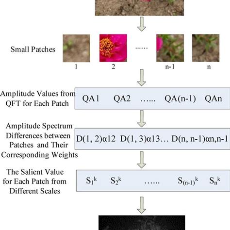 Framework Of The Proposed Saliency Detection Model Download