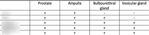 Diagram Of Accessory Sex Glands Quizlet