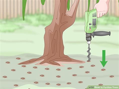 How To Fertilize Trees Steps With Pictures WikiHow