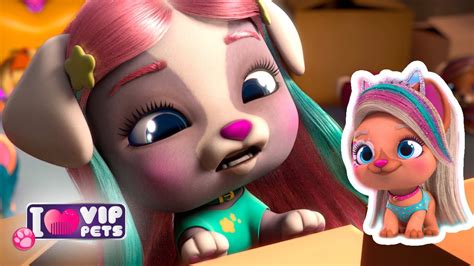 😬 ЛЮБИМИ ГЕРОИ 😬 ВИП ПЕТС 🌈 ЦЕЛИ ЕПИЗОДИ 💇🏼‍♀️ Анимационни филми за деца на БЪЛГАРСКИ Youtube