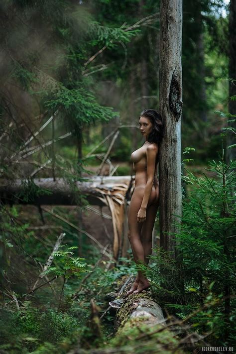 Fallen Trees Porn Pic