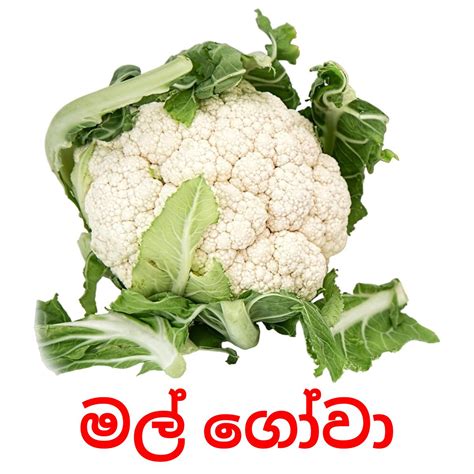 30 Printable Vegetables Flashcards In Sinhala Free Pdf