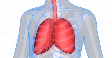 What Is An Acute Exacerbation Of COPD