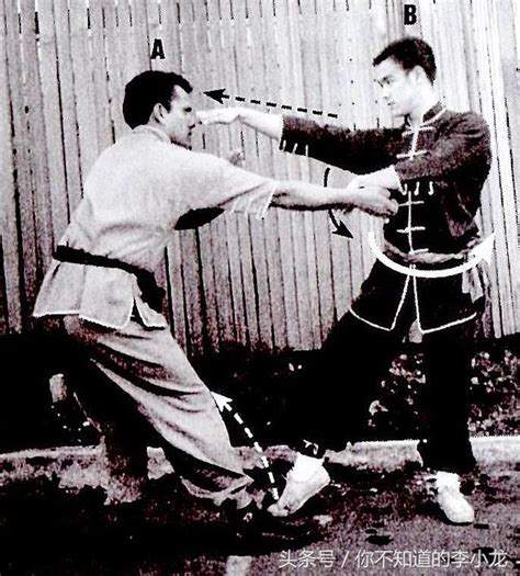 龍史傳真｜拳擊冠軍德邁爾：我樂意和任何說李小龍不行的人打 每日頭條