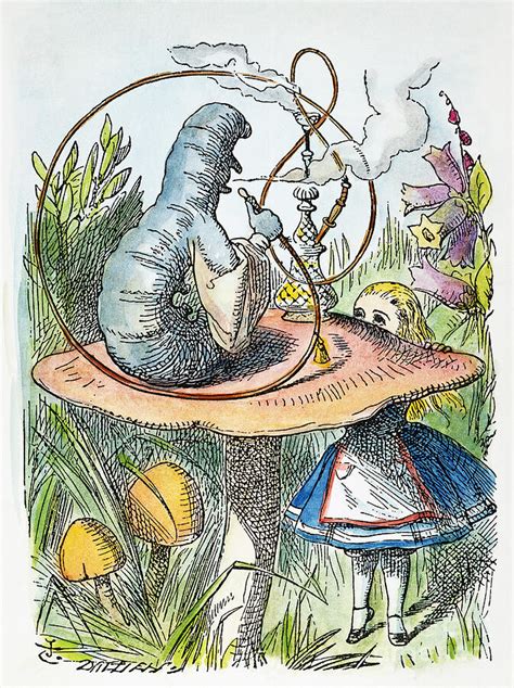 Alice In Wonderland Tenniel Illustrations