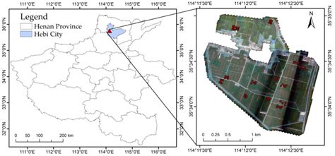 Agronomy Free Full Text Synchronous Retrieval Of Wheat Cab And Lai From Uav Remote Sensing