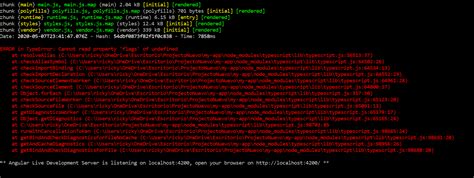 Typescript Angular Error In Typeerror Cannot Read Property Flags