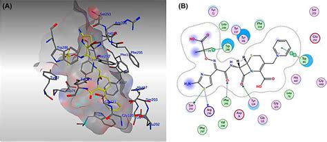 Docking Interactions Of Caz On Ache A 3d B 2d Representation Download Scientific Diagram