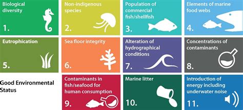 Observer The Copernicus Marine Service Supports The Implementation Of The Marine Strategy