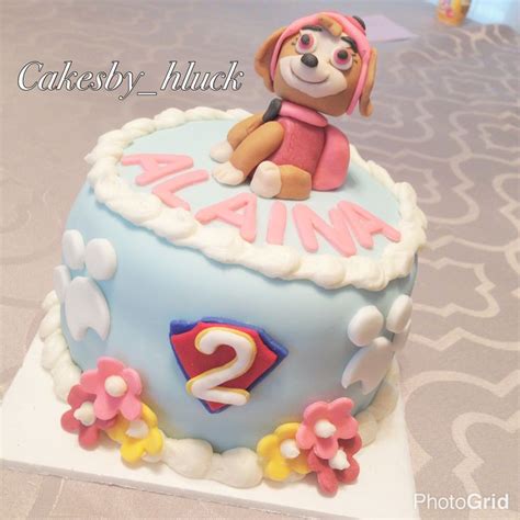 Skye Paw Patrol Cake Paw Patrol Paw Patrol Skye Cake Skye Fondant Figure Skye Paw Patrol