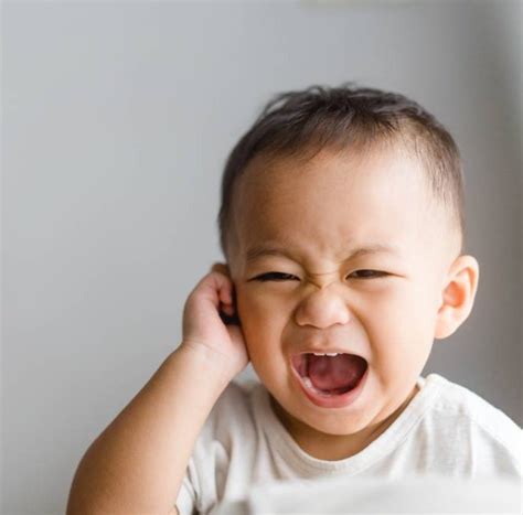 👂🏻ХҮҮХДИЙН ЧИХ ӨВДӨХ Альфа мед чих хамар хоолойн эмнэлэг