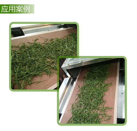 茶叶微波杀青烘干工艺 五谷杂粮低温烘焙设备 微波熟化设备 微波杀青机 微波脱脂设备 工业微波设备 山东立威微波设备有限公司