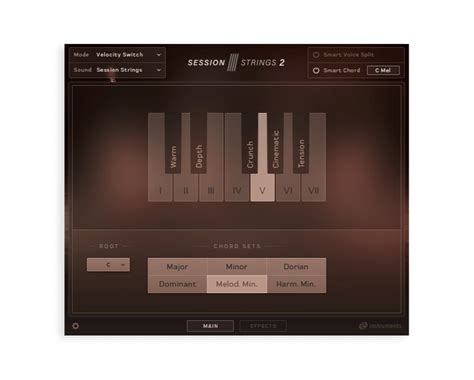 Session Strings 2 E Instruments