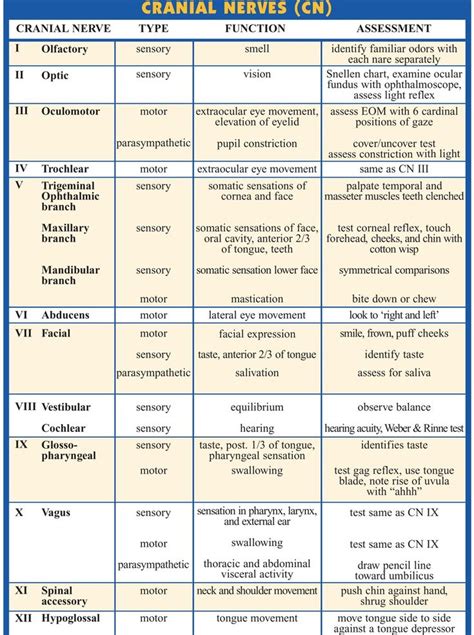 Cranial Nerves Assessment Cheat Sheet Nclex Quiz