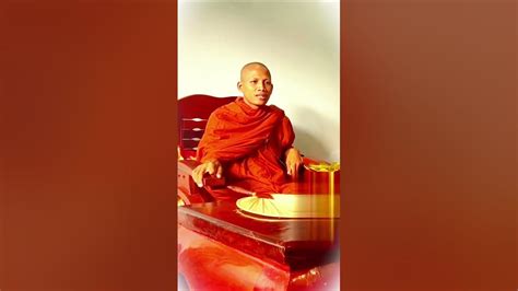 ធម្មទានដោយ ព្រះវនវាសី ចន្ទ មុនី Reels Buddhism Reels Reels Youtube