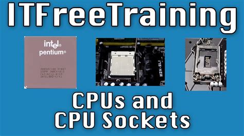 CPUs And CPU Sockets YouTube