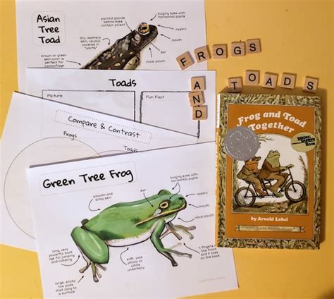 Frog And Toad Together Worksheets