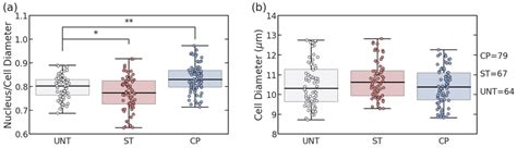 Cell And Nucleus Diameter Measurements From Fluorescence Imaging A Download Scientific