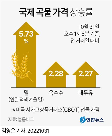 그래픽 국제 곡물 가격 상승률 연합뉴스