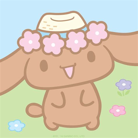 Mocha Sanrio Wallpapers Wallpaper Cave