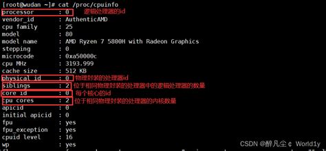 Cpu调优 Cpuinfo命令cpu Max Mhz Cpu Min Mhz怎么看最终mhz Csdn博客