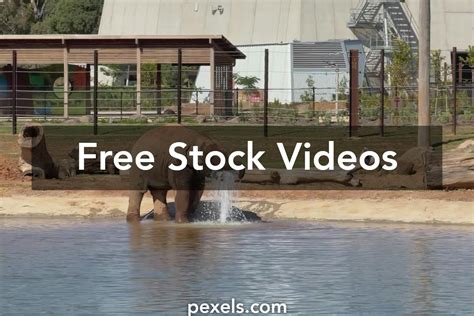 Mom Spread Legs For Son Videos Download The Best Free 4k Stock Video Footage And Mom Spread Legs