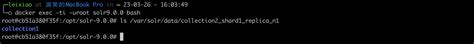 apache solr backup restore apis rce cve 2023 50386 分析及挖掘思路 l3yx s blog