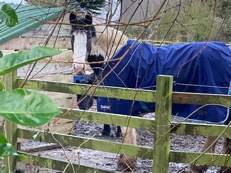 Nick Breaks Wind Inspired By A Captured Image 5 7 5s By Dave Gottlieb Jan 2025 Medium