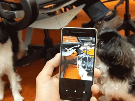 TensorFlow Lite ML For Mobile And Edge Devices