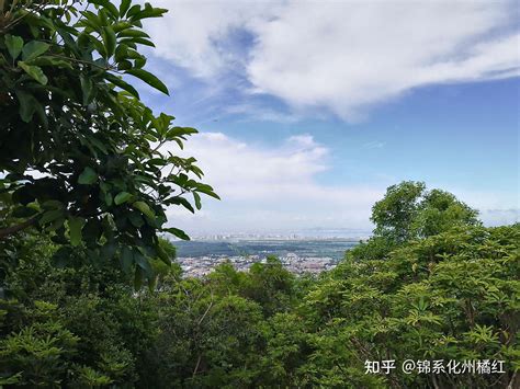什么是寒咳？什么是热咳？ 知乎