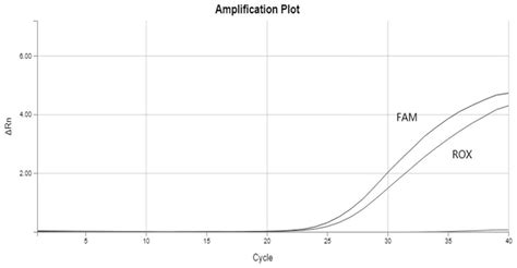 Primer Probe And Kit For Detecting 2385 Site Polymorphism Of Lrrk2 Gene Eureka Patsnap