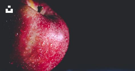 검은 배경의 빨간 사과 사진 Unsplash의 무료 인도 이미지