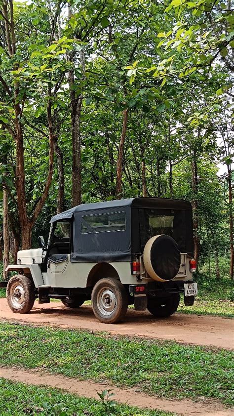 Dᴇɴɪʟ Wᴀʏɴᴇ🦋 Denil Mathew John • Instagram Photos And Videos