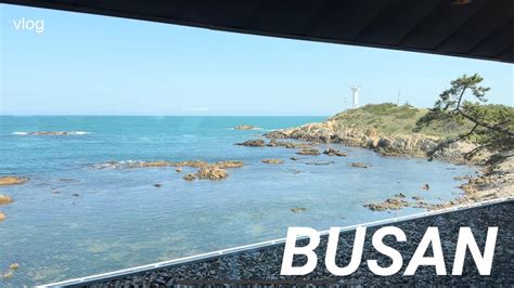 Vlog 꽉 채운 부산여행 1박 2일🚙 제주 감성의 기장 카페 이색적인 일본식 화로구이 맛집 Youtube