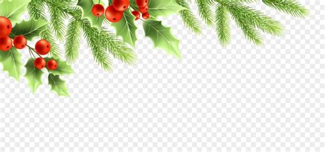 홀리 나무 가지 Png 일러스트 이미지 및 Psd 파일 Pngtree에 무료 다운로드