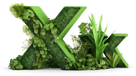 식물과 풀로 만든 단어 X 3d 알파벳 문자 X 녹색 식물 나뭇잎 배경 일러스트 및 사진 무료 다운로드 Pngtree