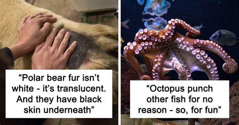 28 People Share The Weirdest Animal Facts They Know Bored Panda