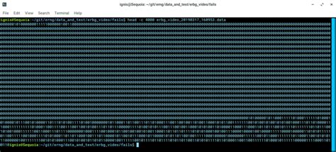 8 terminal output of the first 4000 characters from the extracted download scientific diagram