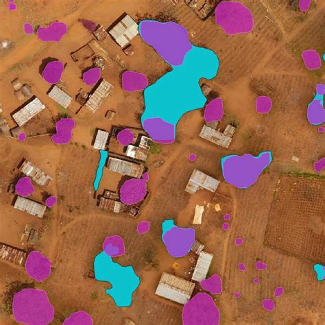 Introduction Restor Tree Crown Delineation