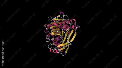 Crystal Structure Of Native Recombinant Human Bile Salt Activated Lipase Animated 3d Cartoon